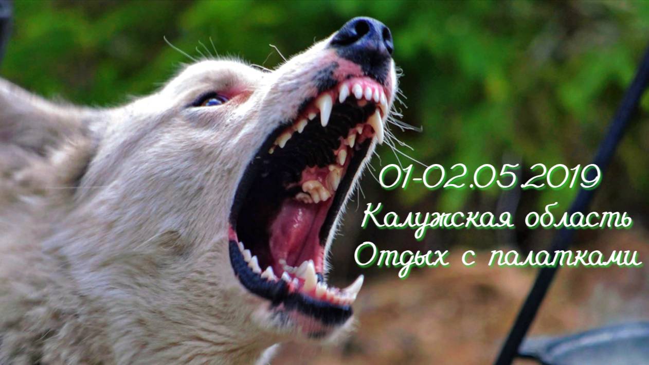01-02.05.2019 Калужская область, Отдых с палатками