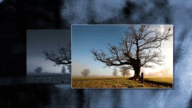 LastEden - Organic