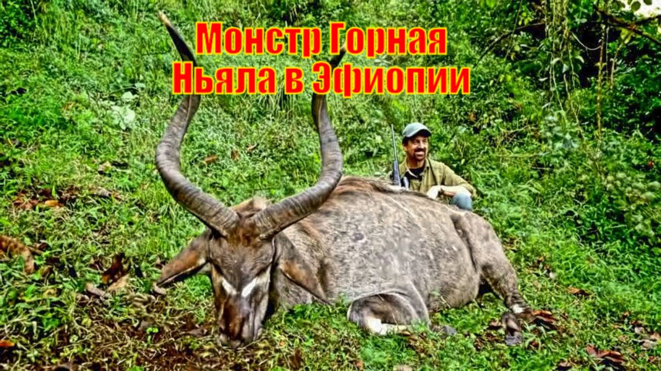 Монстр Горная Ньяла в Эфиопии