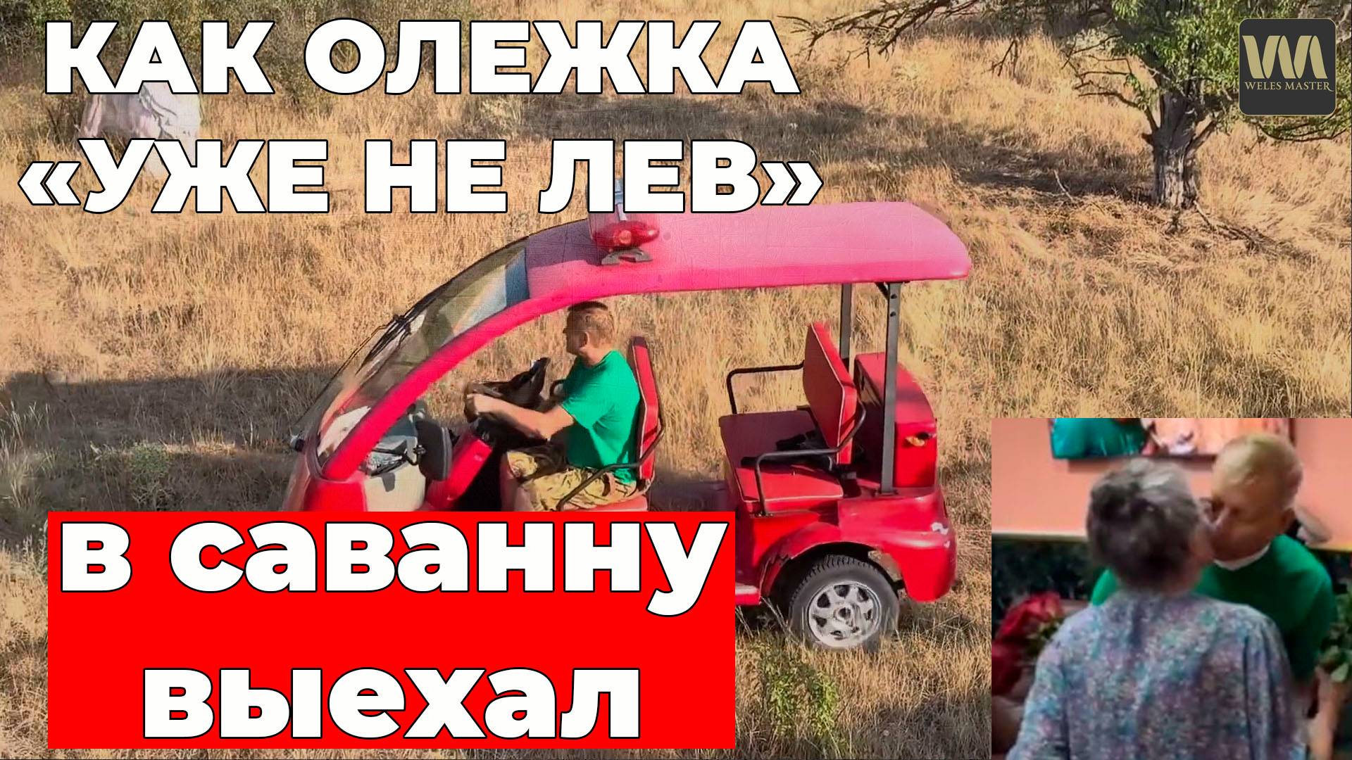 Как Олежка "уже не лев" в саванне какашки убирал после себя, 30 августа