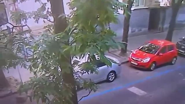 Момент убийства Парубия.