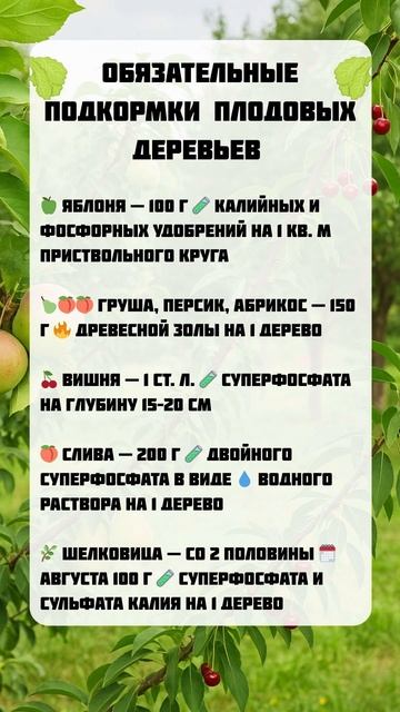 КАК правильно подкормить плодовые деревья? #подкормка #деревья #удобрения
