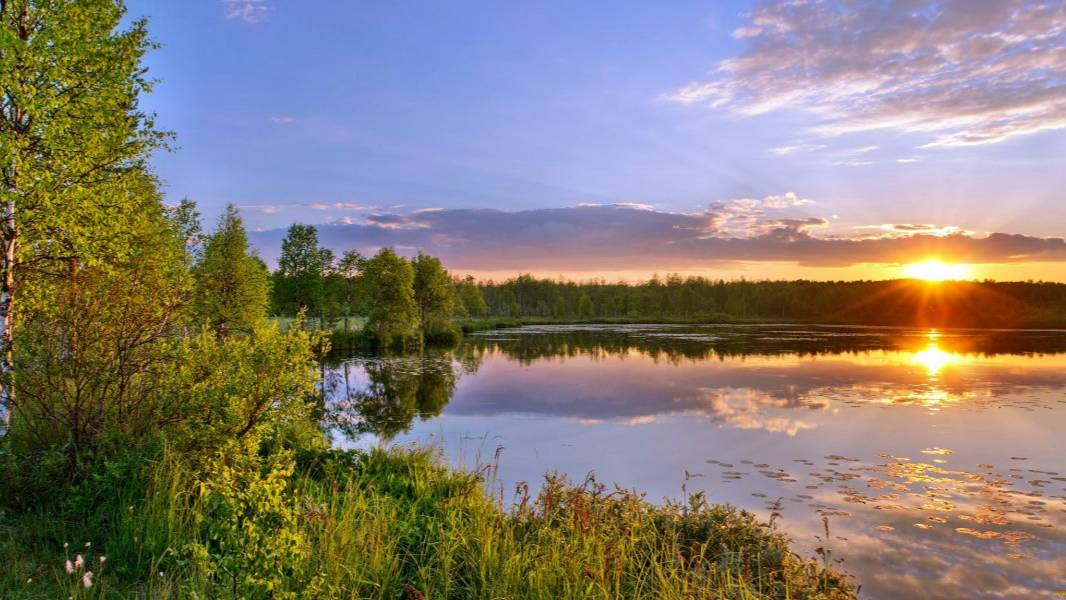ТОЛЬКО НЕ СПУГНИ - стихи Надежды Шубиной(Из цикла " Очарование осени")