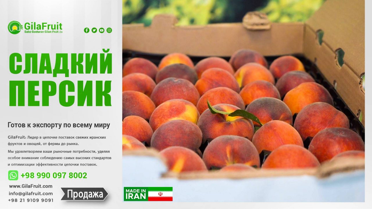 GilaFruit: Ваш источник сочных иранских персиков