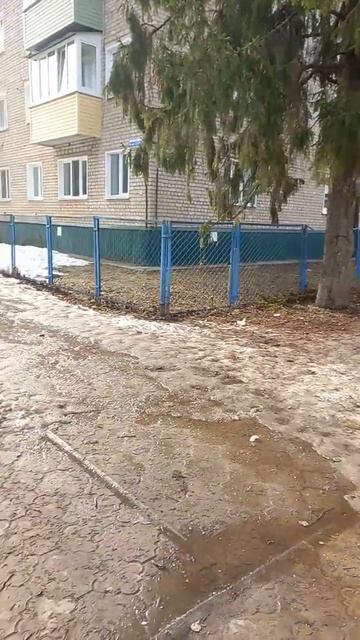 #shortsТает снег#shorts