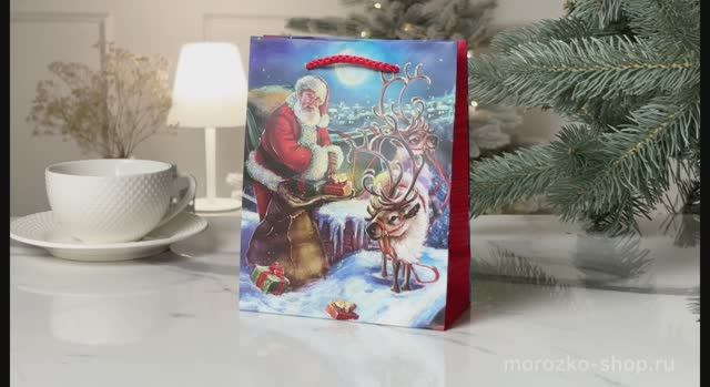 Подарочный пакет ВМЕСТЕ С САНТОЙ: УЛЫБНЁМСЯ, бумага, 18х14 см, XNA16004011-1