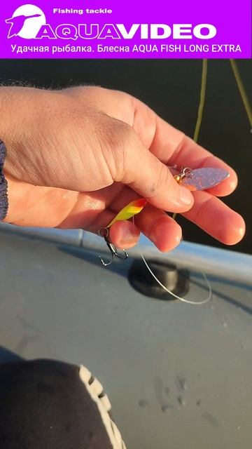 🎣🐟 Решил поделится своим уловом. Окушки на вертушкуAQUA FISH LONG EXTRA.