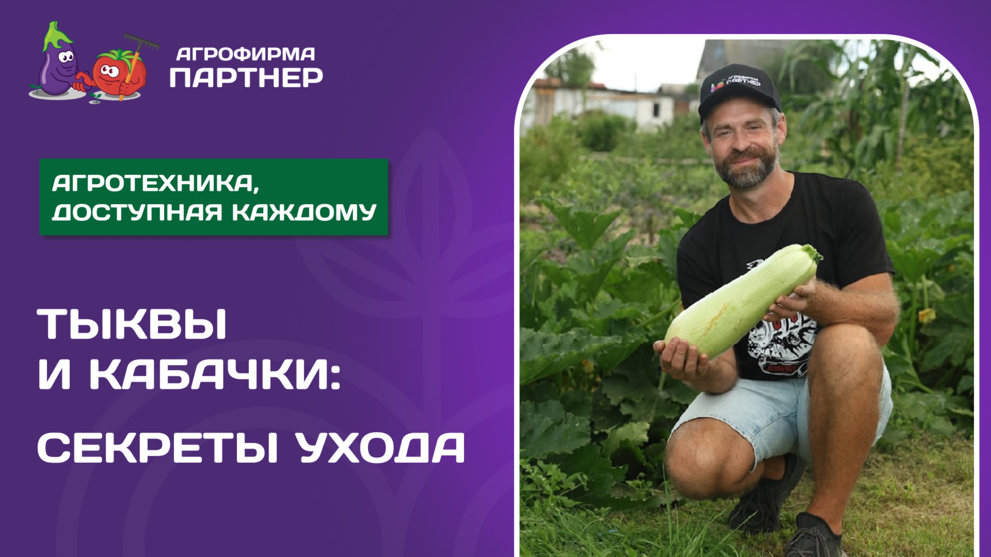 ТЫКВА И КАБАЧКИ | Как вырастить крупные и вкусные плоды