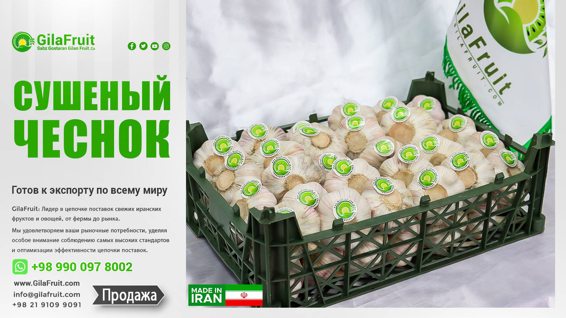 GilaFruit: Поставки первоклассного иранского сухого чеснока