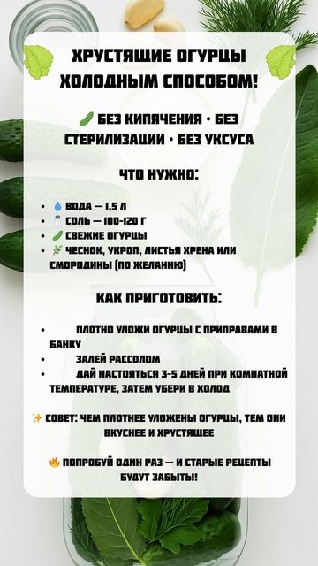Квасим огурцы холодным способом – проще не бывает #квашеная #огурцы #рецепты