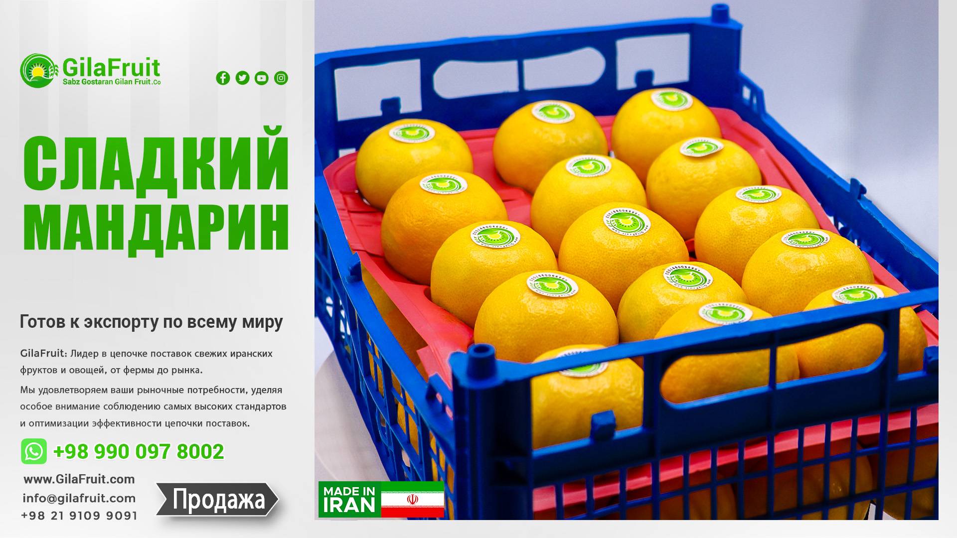 GilaFruit: Поставки пикантных иранских мандаринов