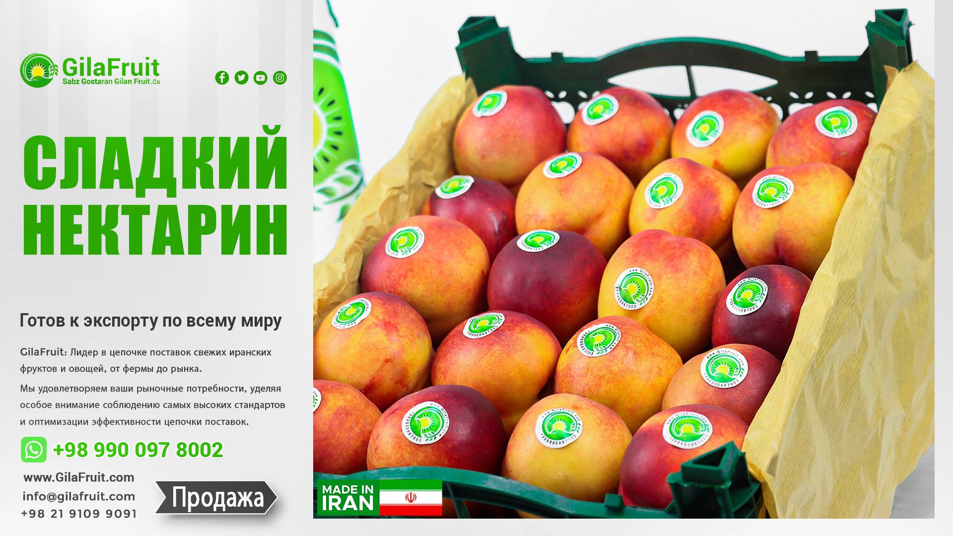 GilaFruit: Поставки изысканных иранских нектаринов