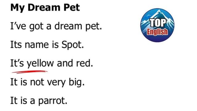 Starter+, Подготовка к экзаменам, My Dream Pet