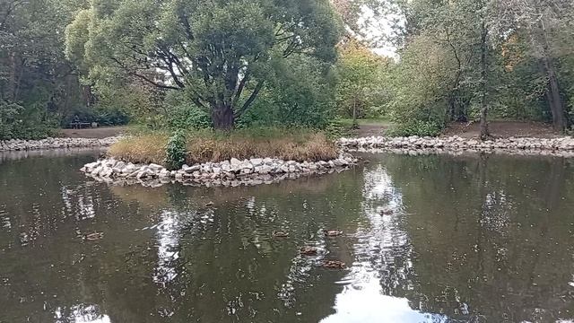Екатеринбург - Дендрологический парк - Малый пруд и снова утки