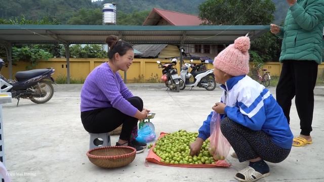 How to design a Firewood house with Wood - Harvesting Apples Bring them.  Trieu Mai Huong