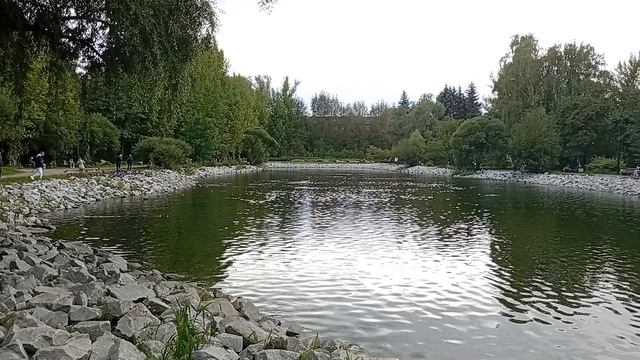 Екатеринбург - Дендрологический парк - Пруд, утки и голуби