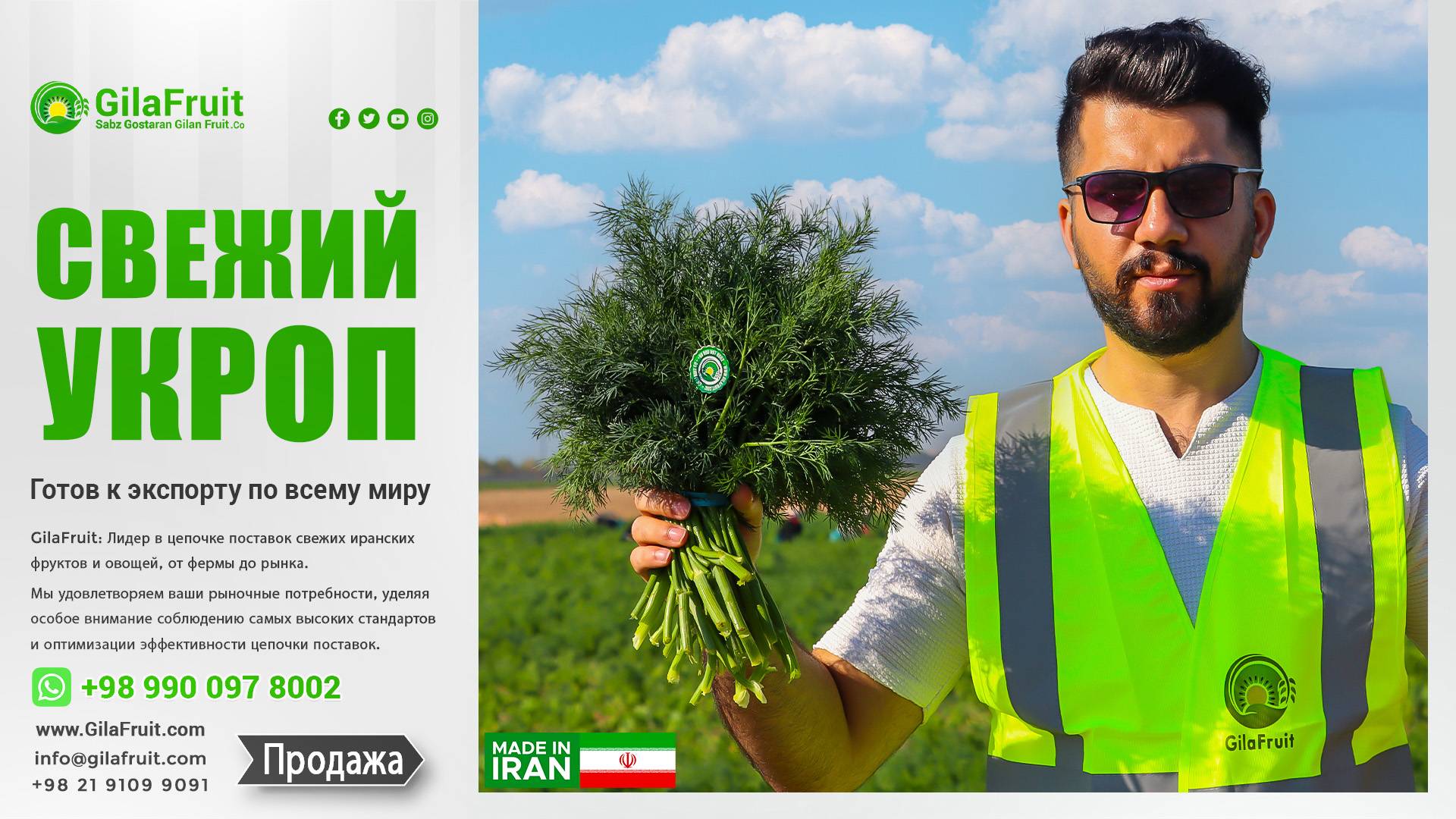 GilaFruit: Ваш источник ароматного иранского свежего укропа