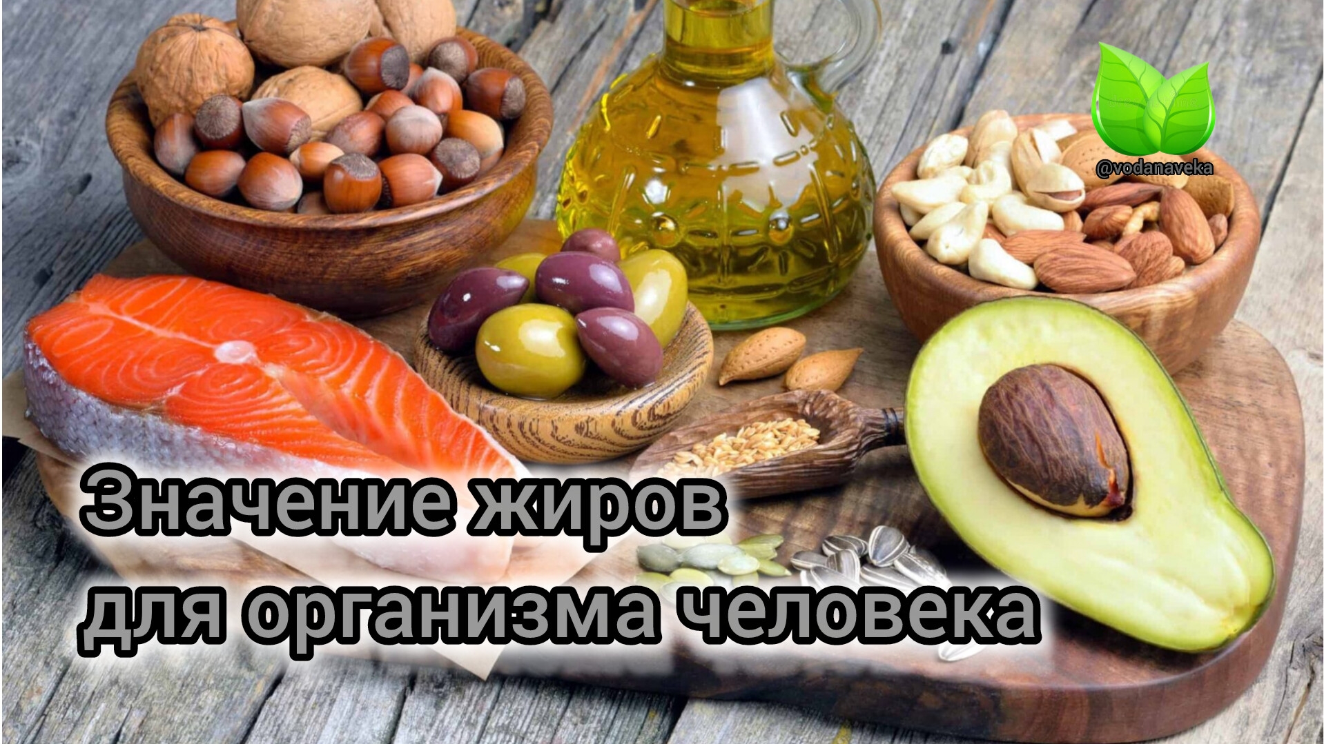 💥Значение жиров для организма человека. О.В.Подхомутникова