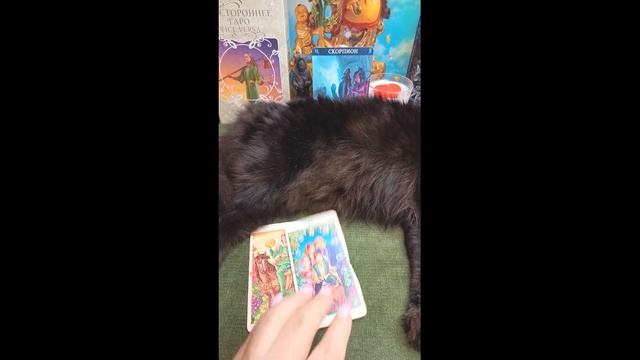 СКОРПИОН - Сентябрь/прогноз таро/ ♏ #shorts