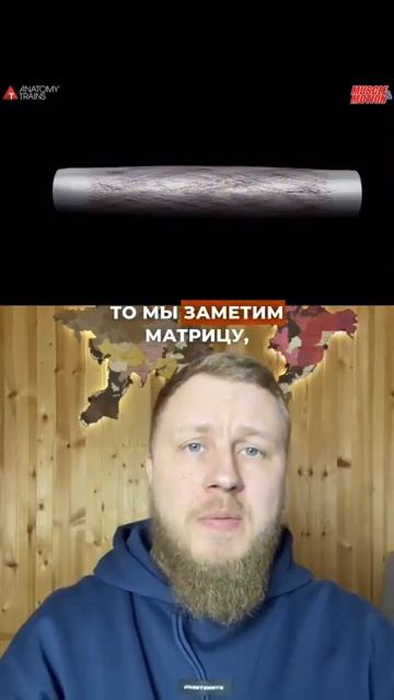 Фасция _ защита от травм мышц