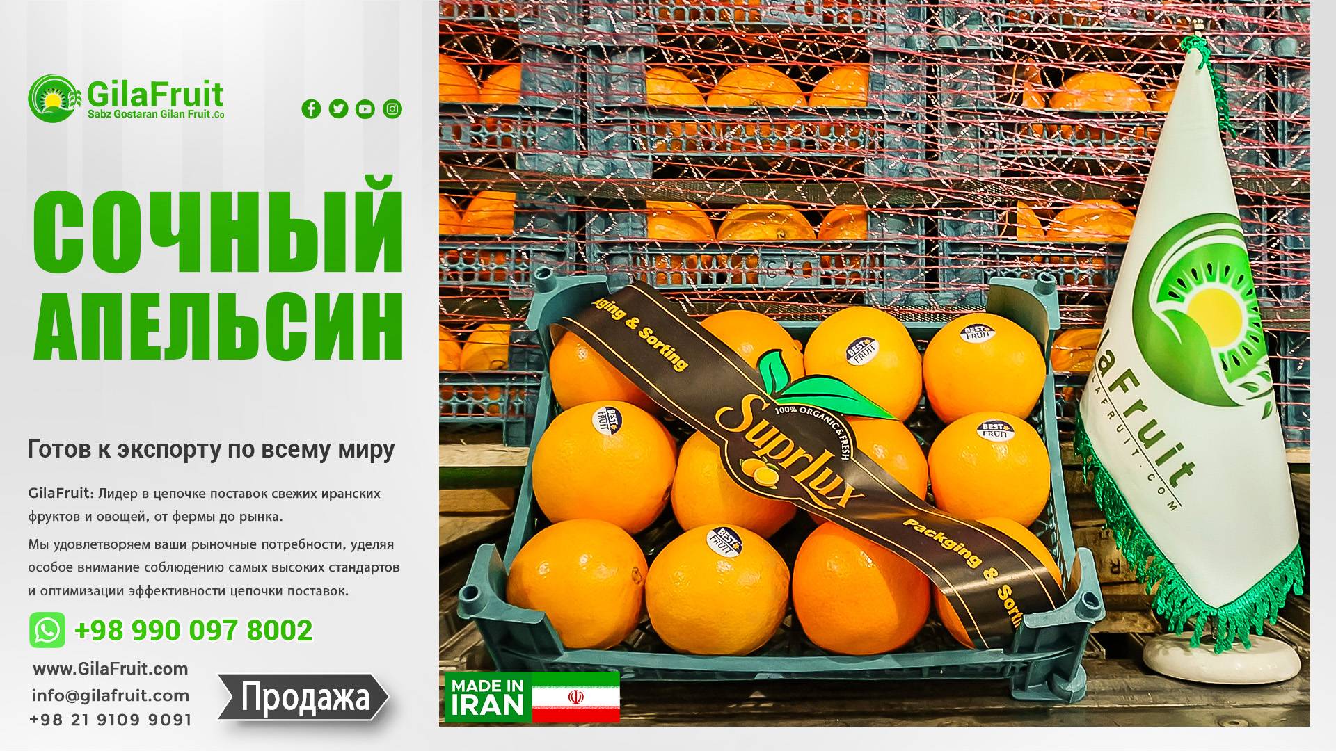 GilaFruit: Ваш надежный поставщик иранских апельсинов