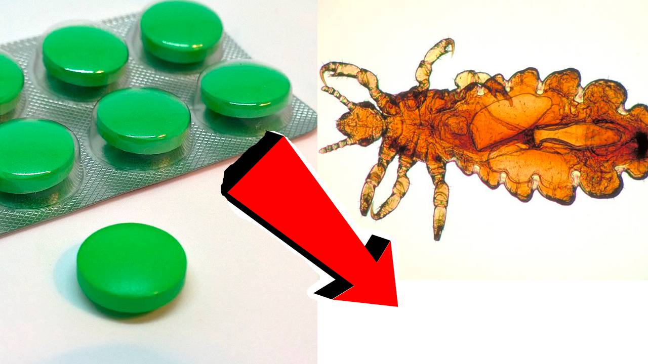 Как избавиться от вшей и гнид За 3 Секунды!.!!!.!