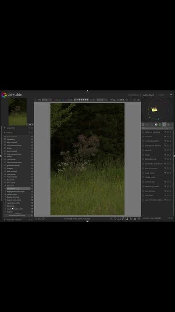 "Шиповник" постобработка фото 2 - начало
