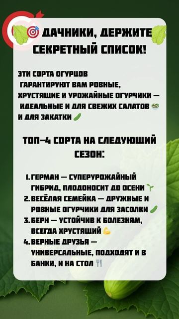 Дачники ловите на заметку топ лучших сортов огурцов на следующий год .#семена #сорта