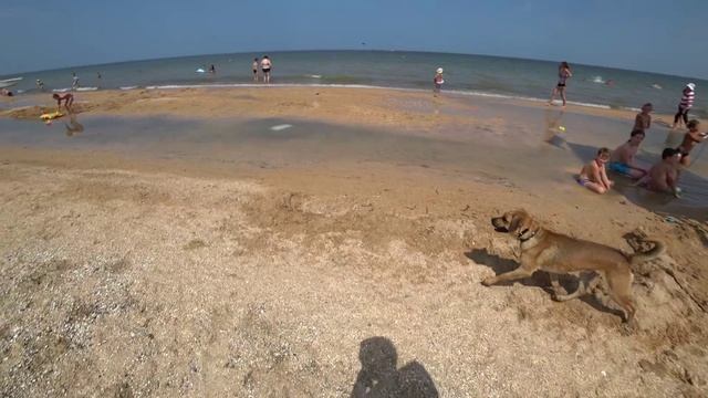 Пляж в Голубицкой после шторма