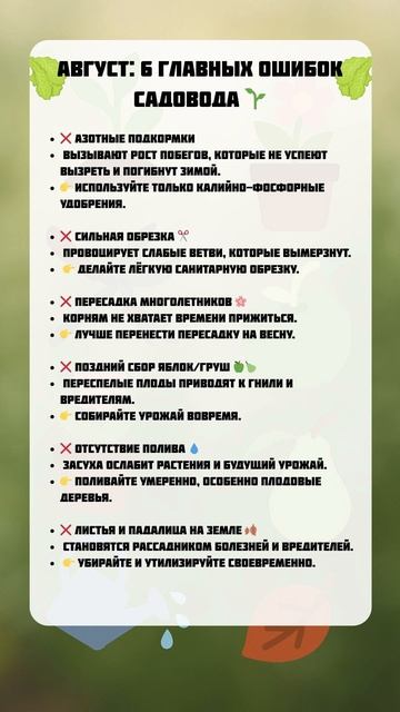 6 ОШИБОК САДОВОДА В АВГУСТЕ - губят весь урожай!