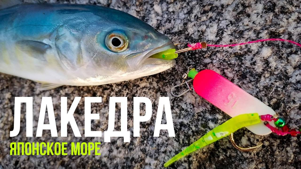 море КИПЕЛО от ХИЩНИКА, морская рыбалка в Приморье, бухта Шепалово