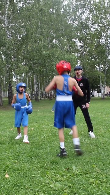 Бокс. Нижнекамск 30-08-2025