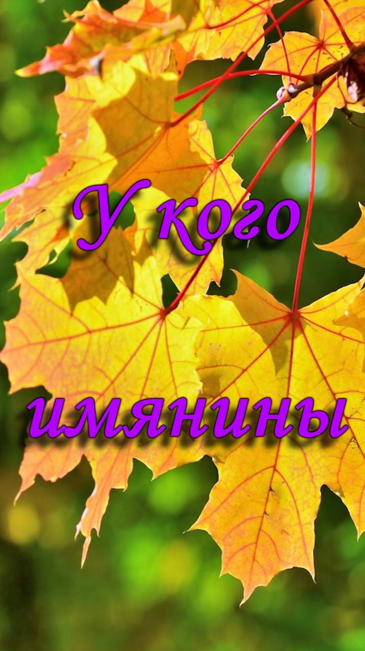 Кто сегодня именинник. У кого сегодня именины. 1 сентября