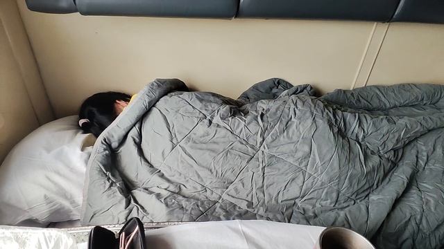 1000023424.mp4