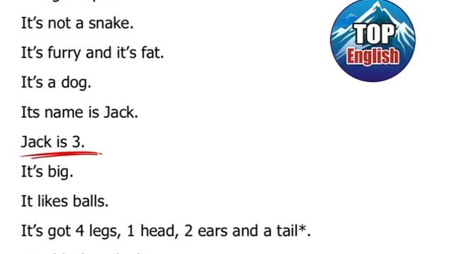 Starter+, Подготовка к экзаменам, My Pet