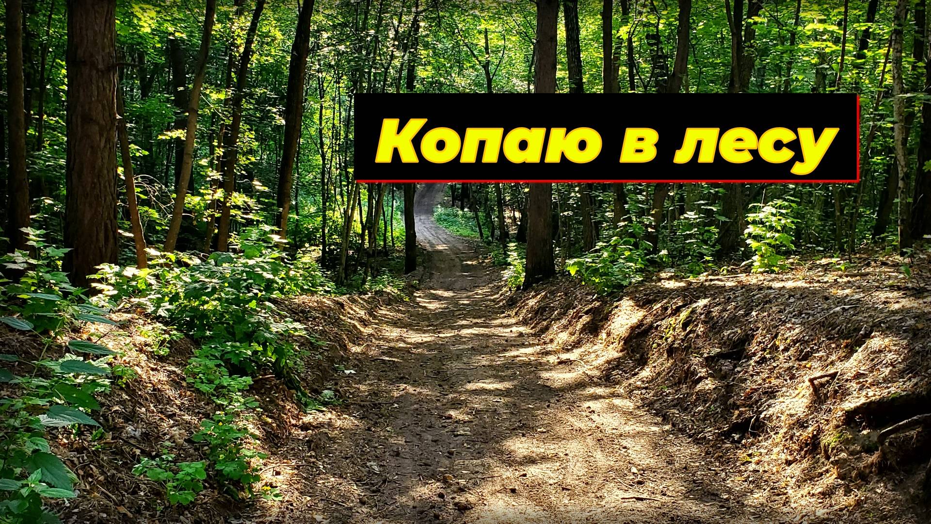 Могильные таблички. Лесной коп.
