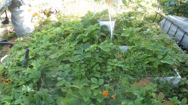 Кончилось лето...