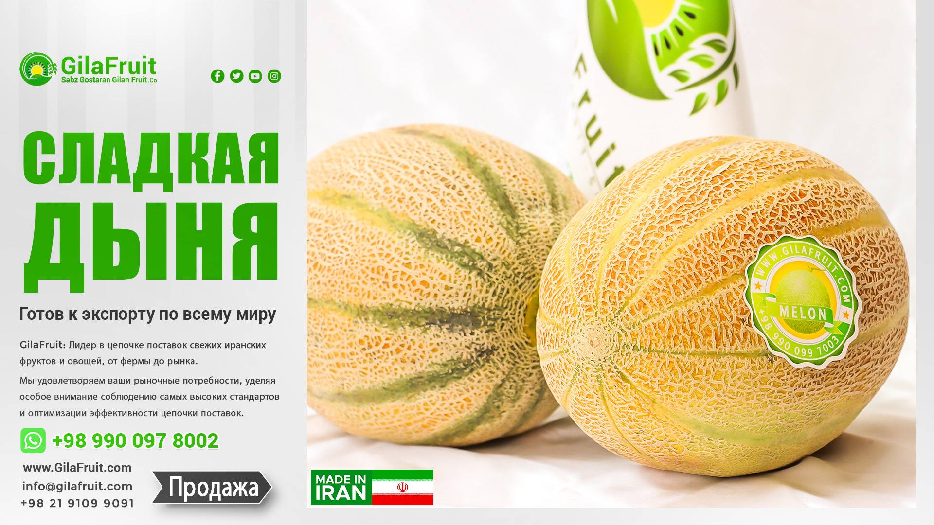 GilaFruit: Поставки изысканных иранских дынь