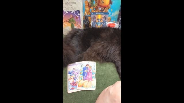 ВОДОЛЕЙ - Сентябрь/прогноз таро/ ♒ #shorts
