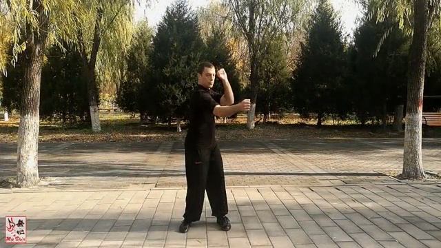 Десятиминутный учебник Синъи Цюань - Пао Цюань (Пушечный кулак) Байрон Джейкобс