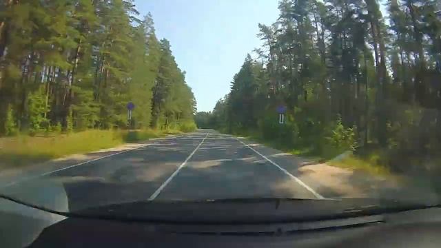 Россия. Дорога от Санкт-Петербурга до Ладожского озера и обратно. 26.07.2025. 2/5