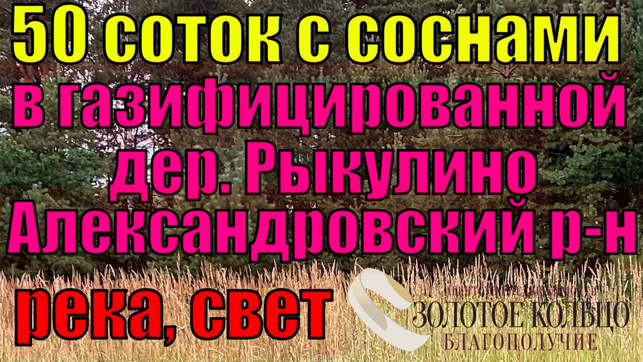 Продаётся лесной (с соснами) участок 50 соток с  электричеством в д.Рыкулино, Александровский район