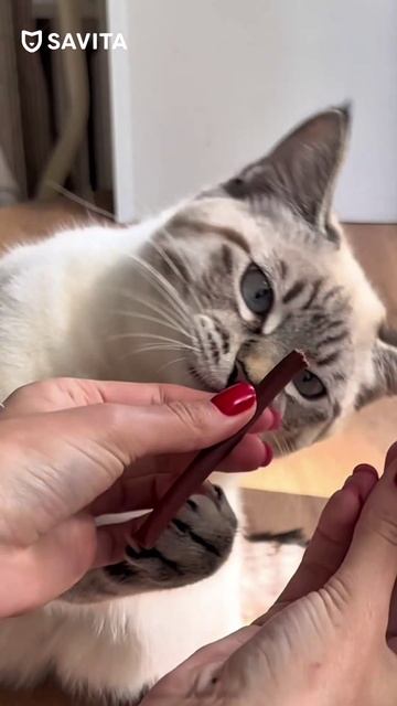 Savita – мясные колбаски для кошек и котят "Утка с кроликом" (67348)