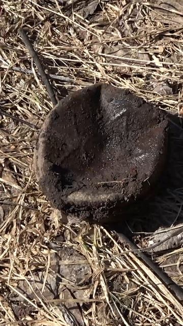 Банка со звездой Для чего она? #shorts #банкасозвездой #длячегоона #metaldetecting #металлоискатель