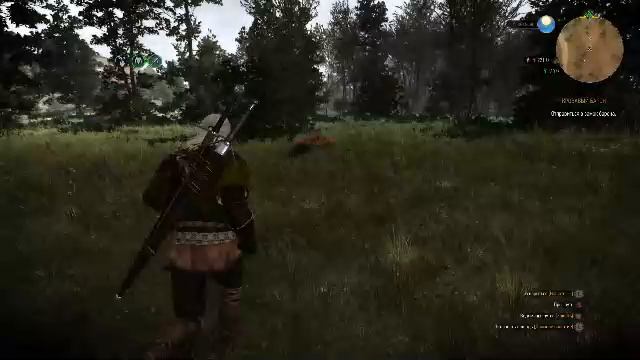 Прохождение игры The Witcher 3: Wild Hunt (Стрим) в 2025 # 6