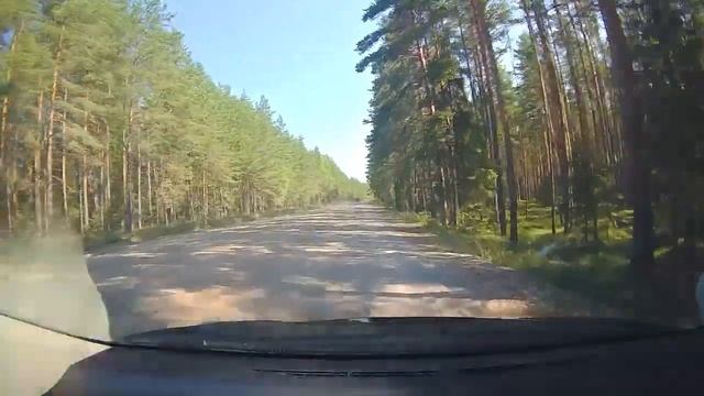 Россия. Дорога от Санкт-Петербурга до Ладожского озера и обратно. 26.07.2025. 1/5