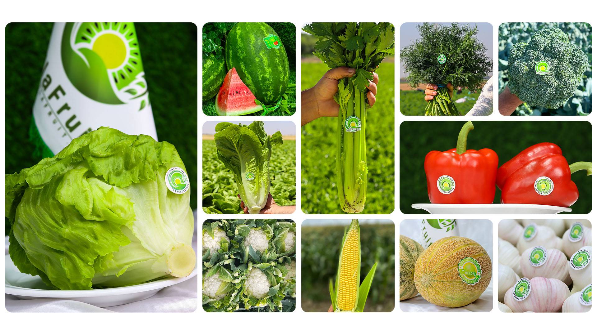 GilaFruit: Представляем овощи