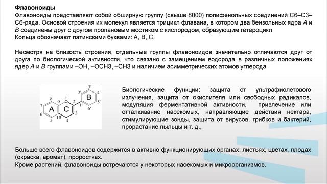 Сапронова 8 1БАВ