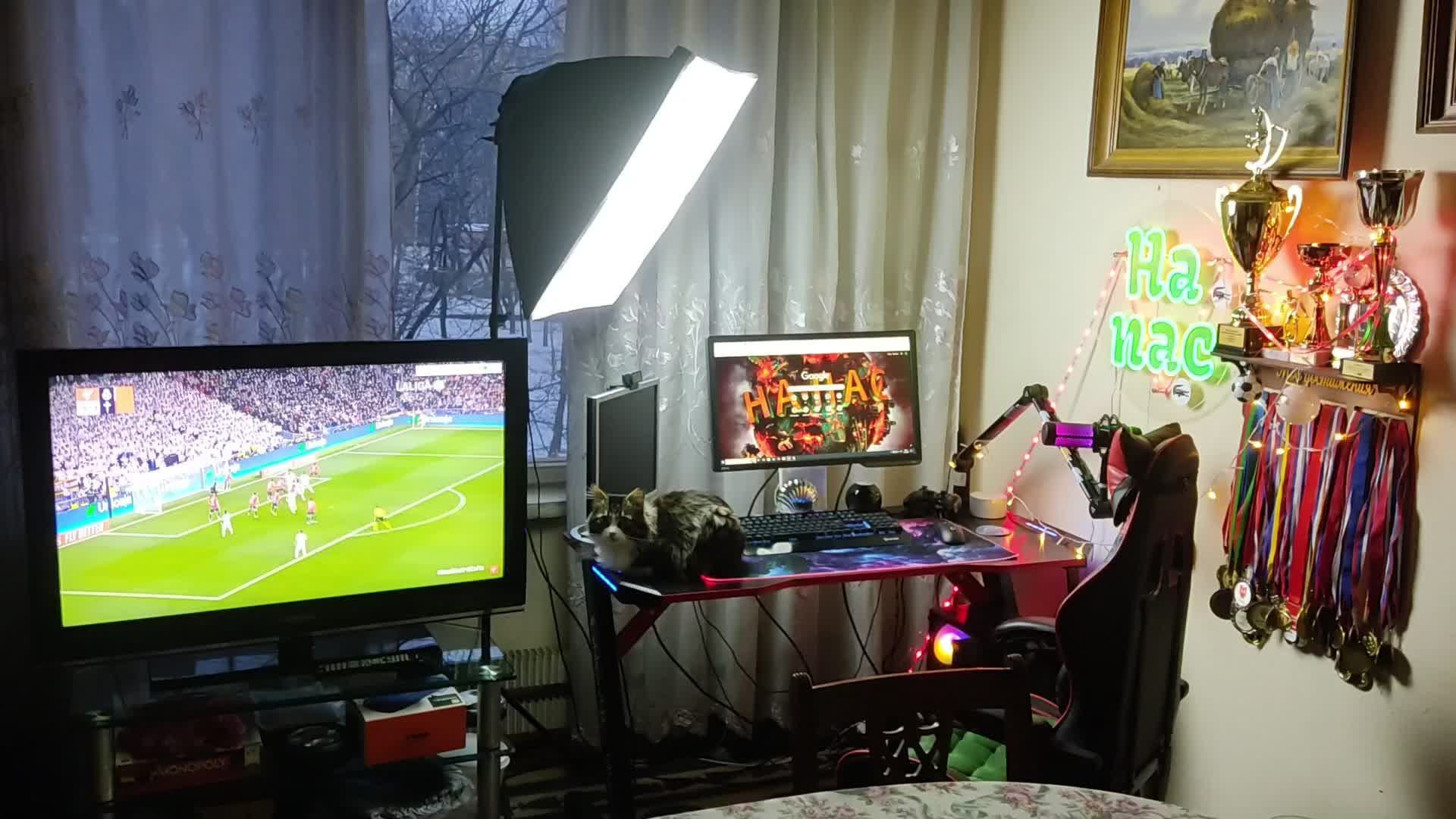 День знаний