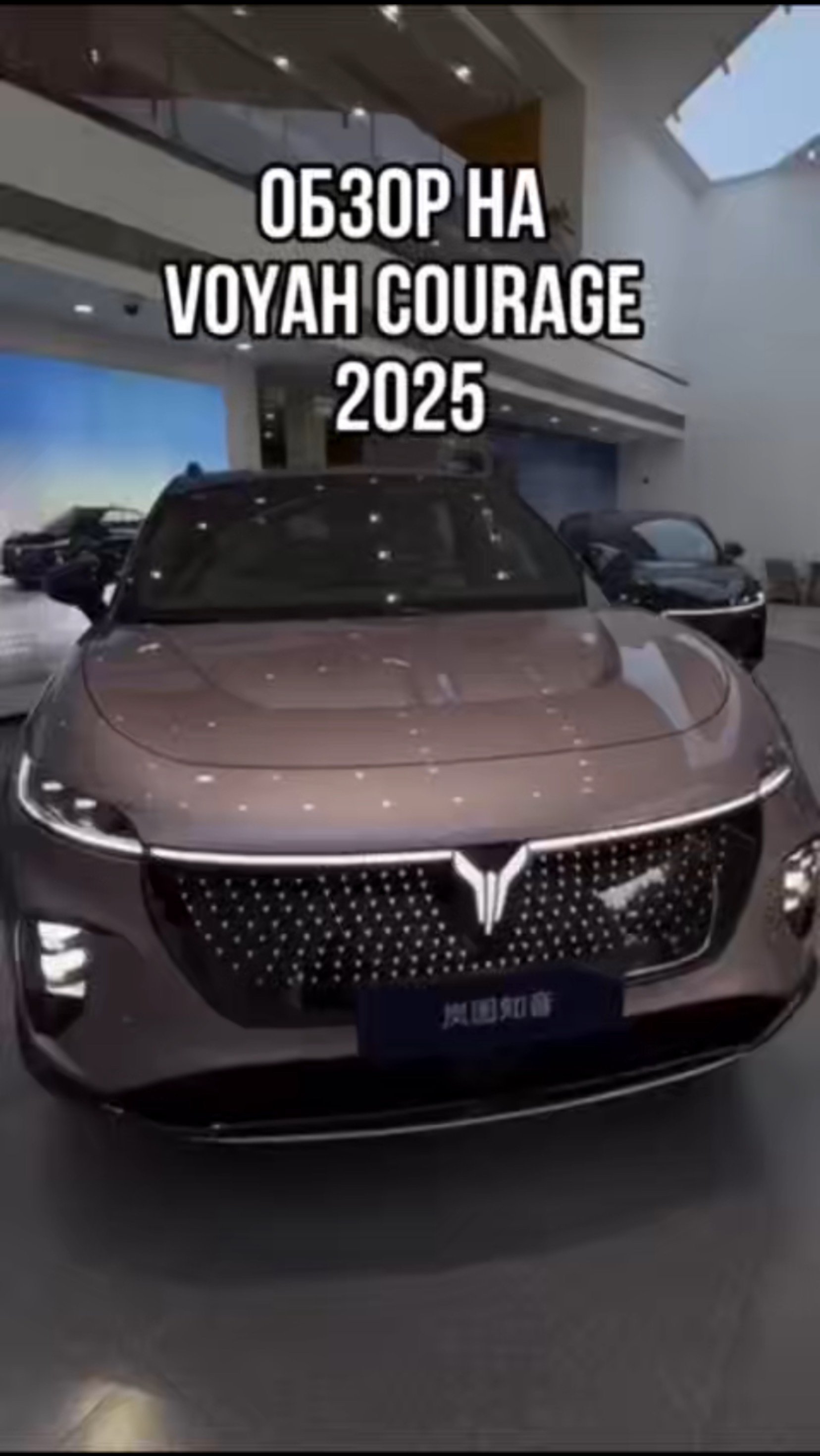 ОБЗОР НА VOYAH COURAGE 2025